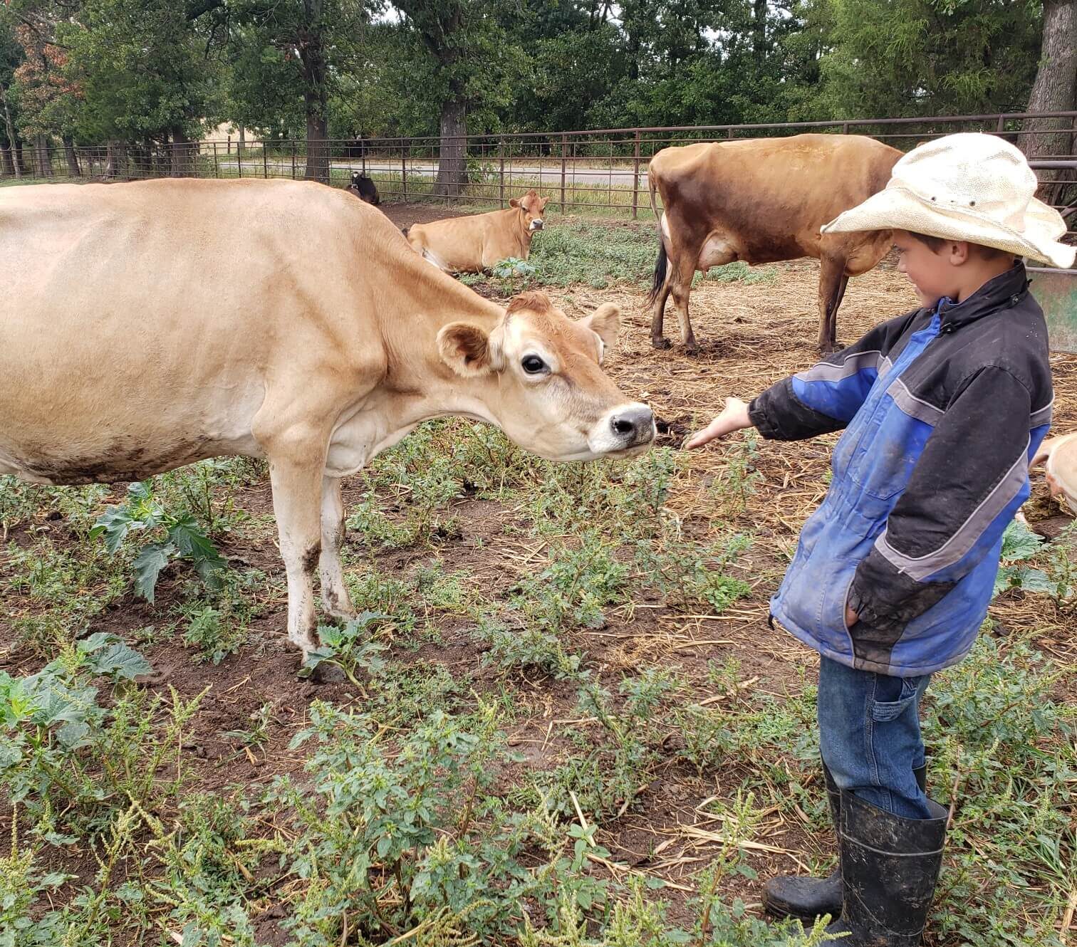 Jersey Fun Facts | Hill Top Jerseys